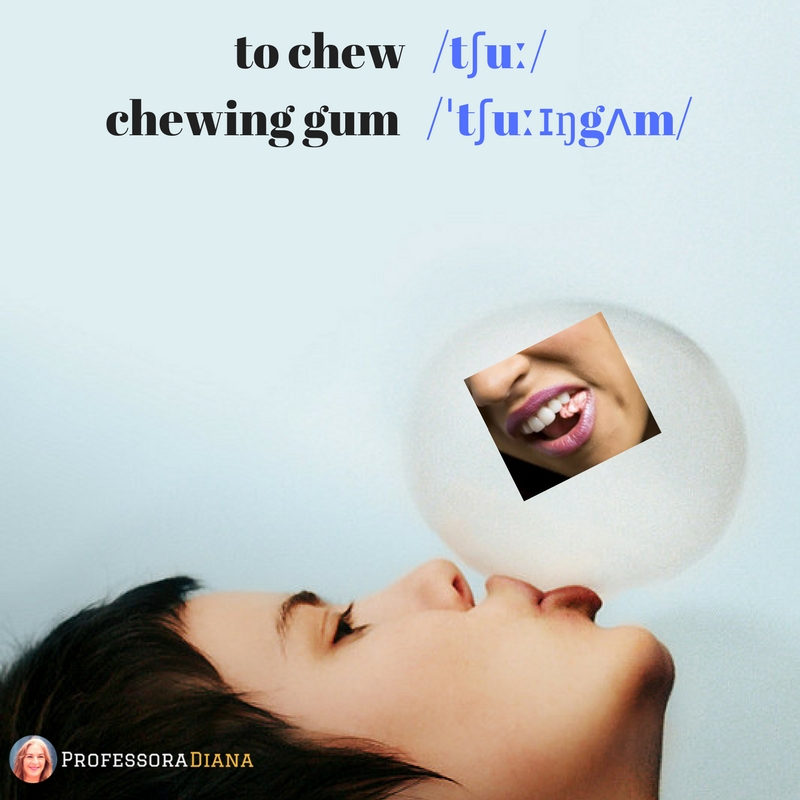 to chew – Professora Diana